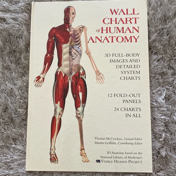 Other | Book Wall Chart Of Human Anatomy | Poshmark